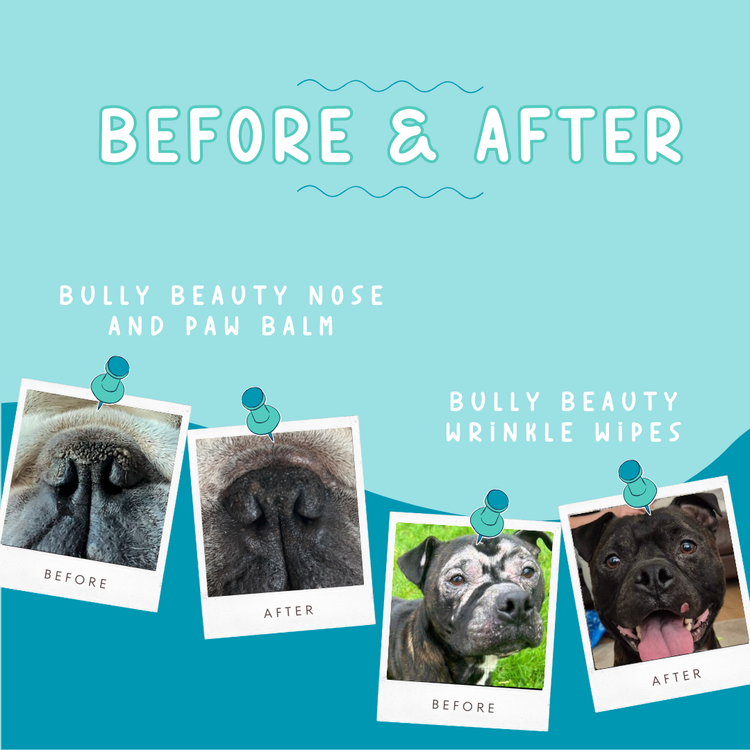 Bully Beauty ® – Bully Beauty™ LTD